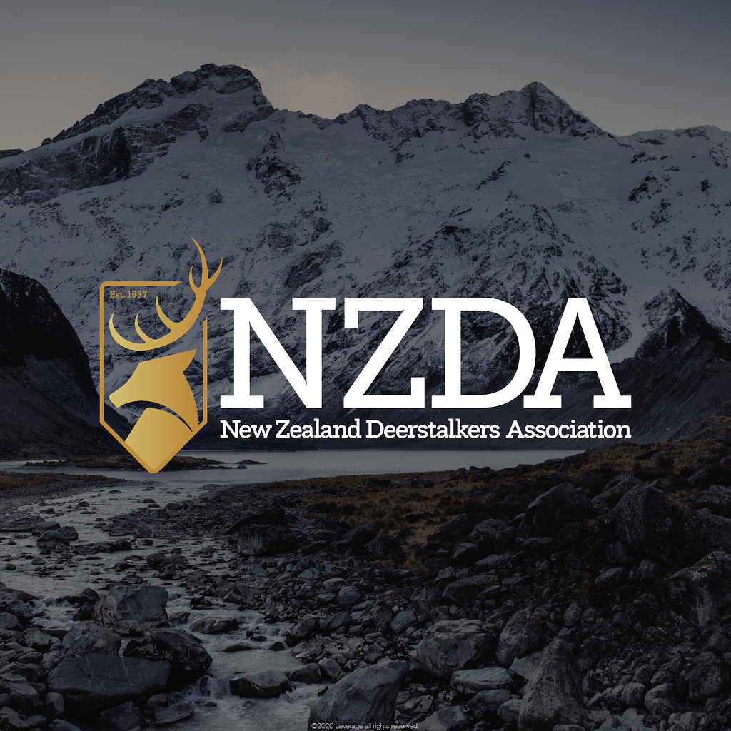NZDA - Leverage